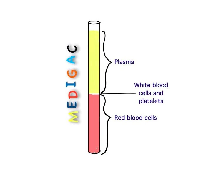 PATHOLOGY – Instruments | Equipments | Devices Full List – MediGac
